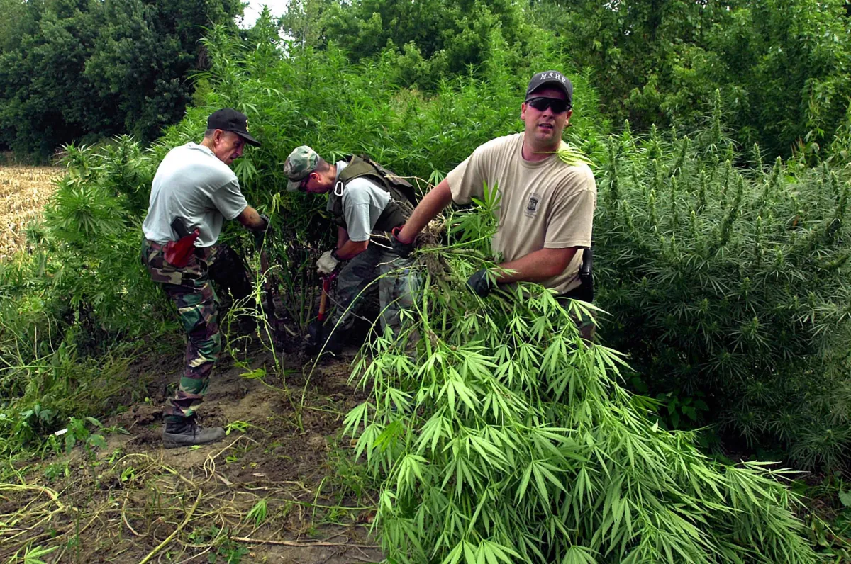 A Cannabis Crusader Brings the Fight for Legal Weed to America’s ...