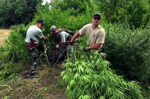 A Cannabis Crusader Brings the Fight for Legal Weed to America’s ...