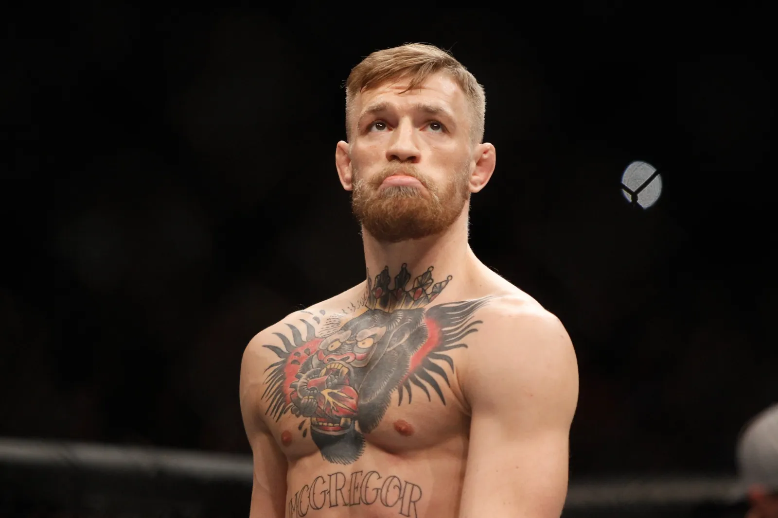 Conor McGregor Finalizing Deal to Fight at UFC 329: Report - Newsweek