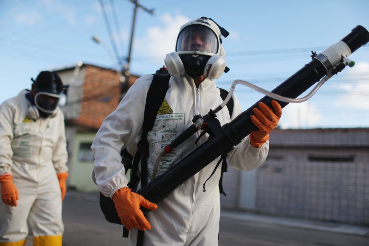 Zika Virus Prompts Rio 2016 Olympic Games Concern From IOC - Newsweek