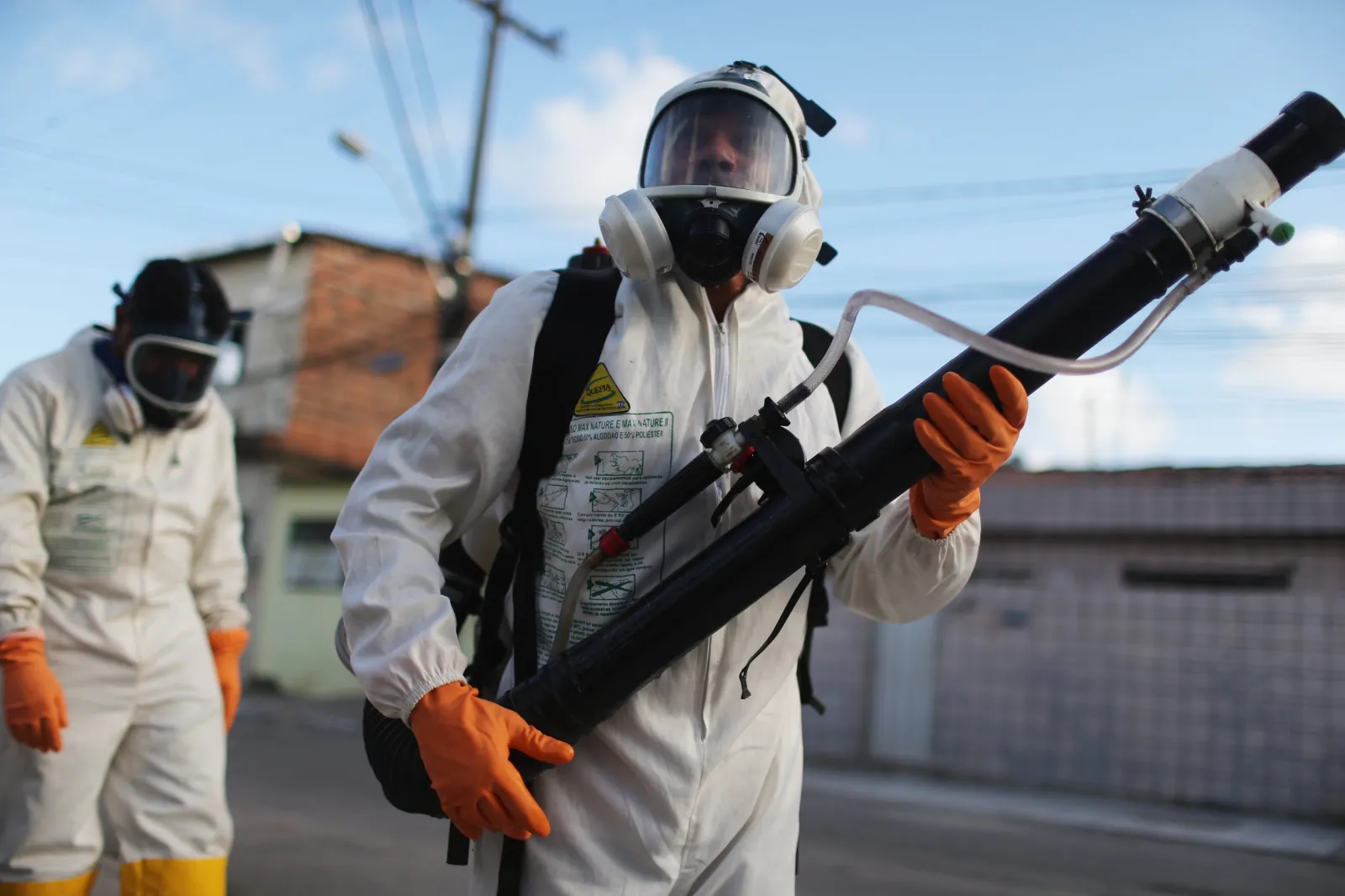 Zika Virus Prompts Rio 2016 Olympic Games Concern From IOC - Newsweek