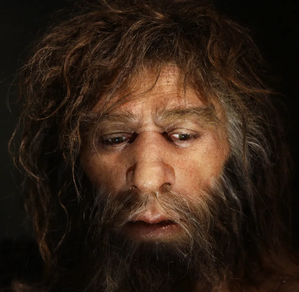 Neanderthal Glue: How Our Prehistoric Relatives Learned to Make Tar for ...