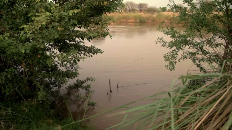 ‘A Girl in the River’ Follows Rare Survivor of Pakistan ‘Honor’ Killing ...