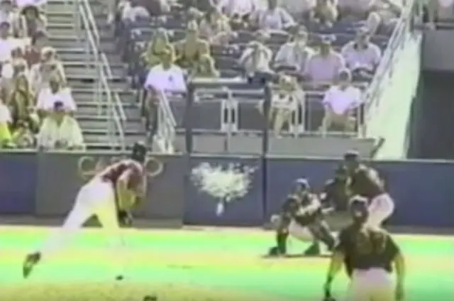 Bird Experts Reflect on Randy Johnson Hitting a Bird With a Pitch ...