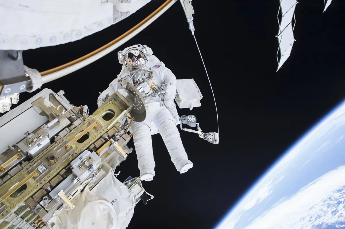 Fungi in Outer Space: NASA Looks for New Medicines in ISS Experiment ...