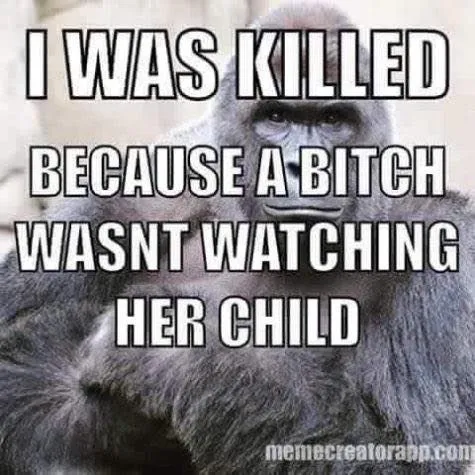 The Death of Harambe: Don’t Blame the Parents - Newsweek