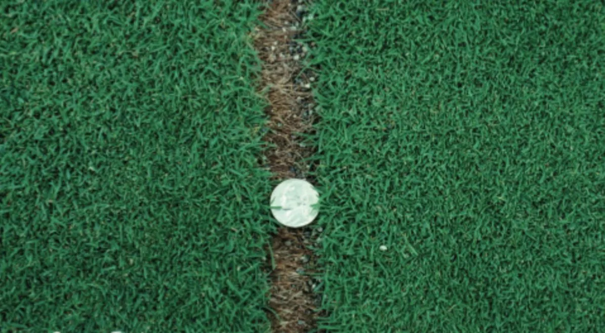 USDA Agrees to Not Regulate Genetically Modified Grass On the Loose In ...