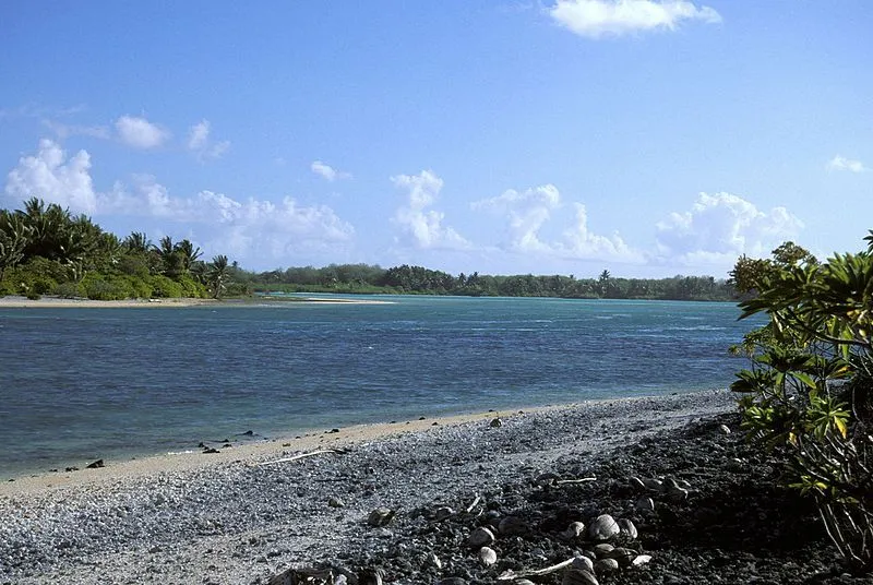 Archaeologist Searching for Amelia Earhart Remains: If We Find Human ...