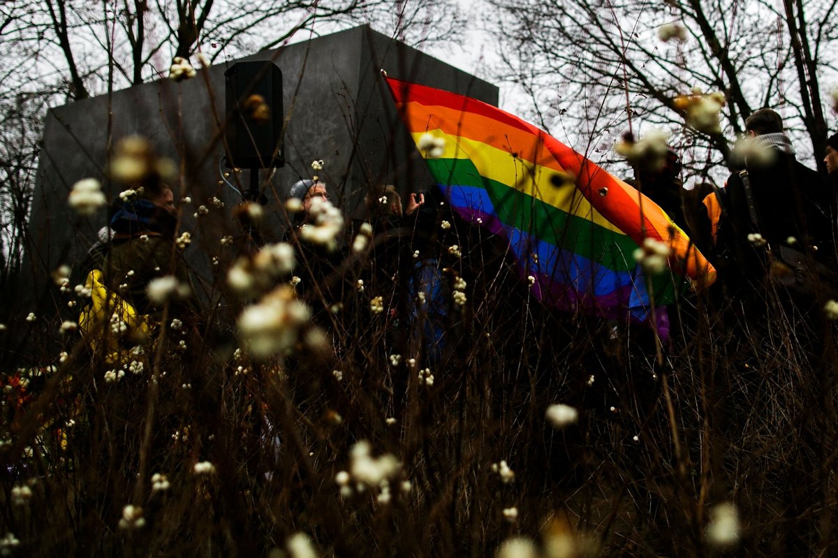 The Pink Triangle: How the Nazis Ruthlessly Destroyed the First Gay ...