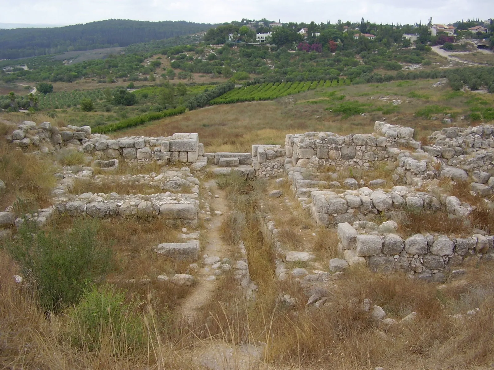 Israel: Ancient Human Remains Discovered in Biblical City 3,200 Years ...