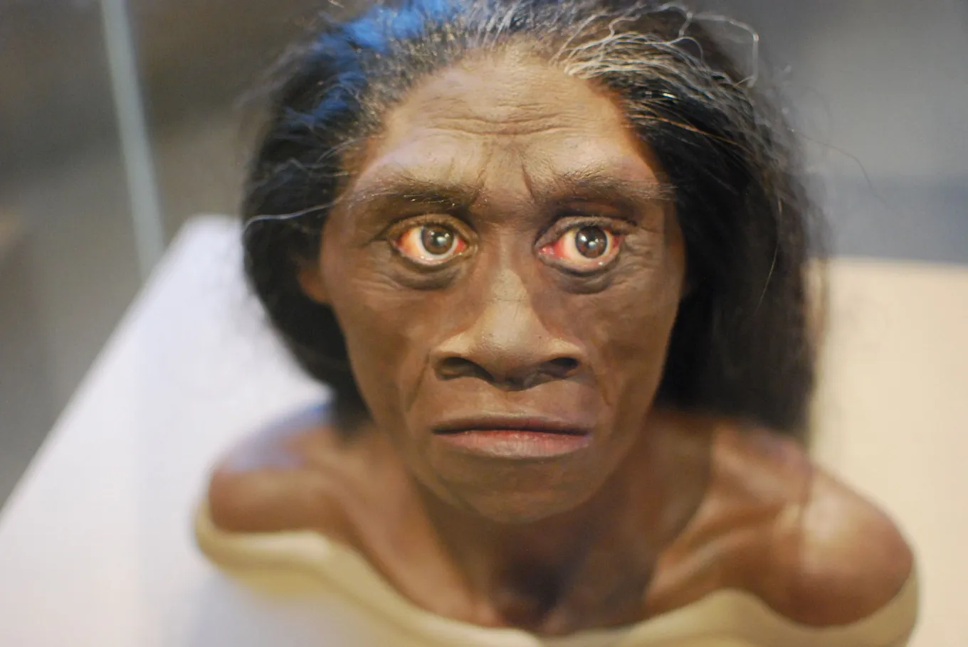 First Humans in Australia Arrived Thousands of Years Earlier Than We ...