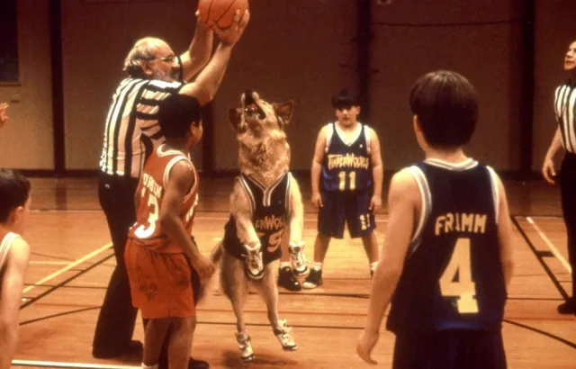 ‘Air Bud’ Came Out 20 Years Ago, So We Tracked Down the Director and ...