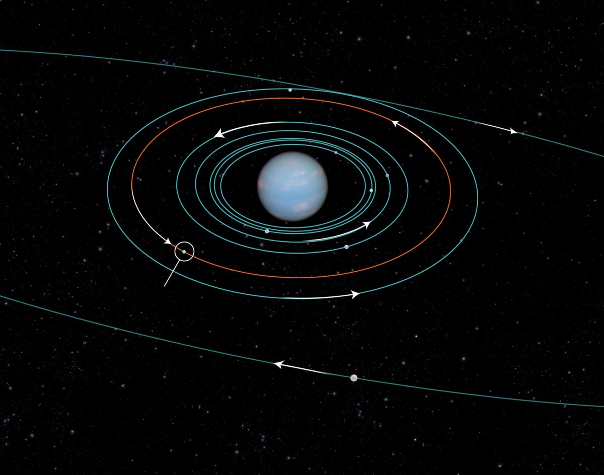 After the Total Solar Eclipse, What’s Next? Get Ready for Neptune ...