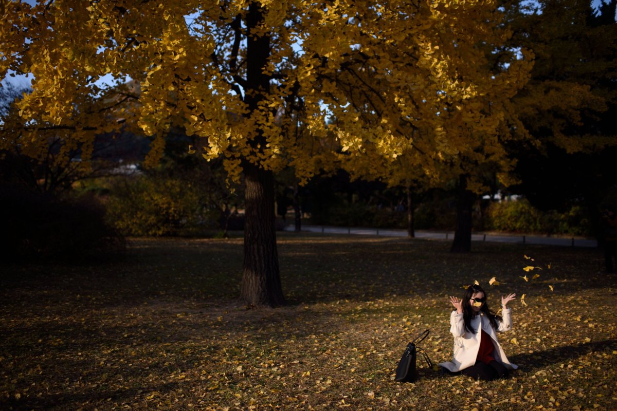 Fall Equinox 2017: Here’s Why The Leaves Change Colors in Autumn - Newsweek