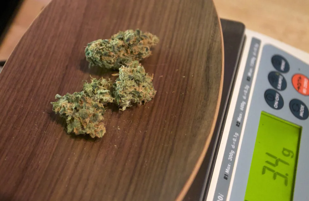 Amazon Order Reveals Mystery Delivery of 65 Pounds of Marijuana to ...