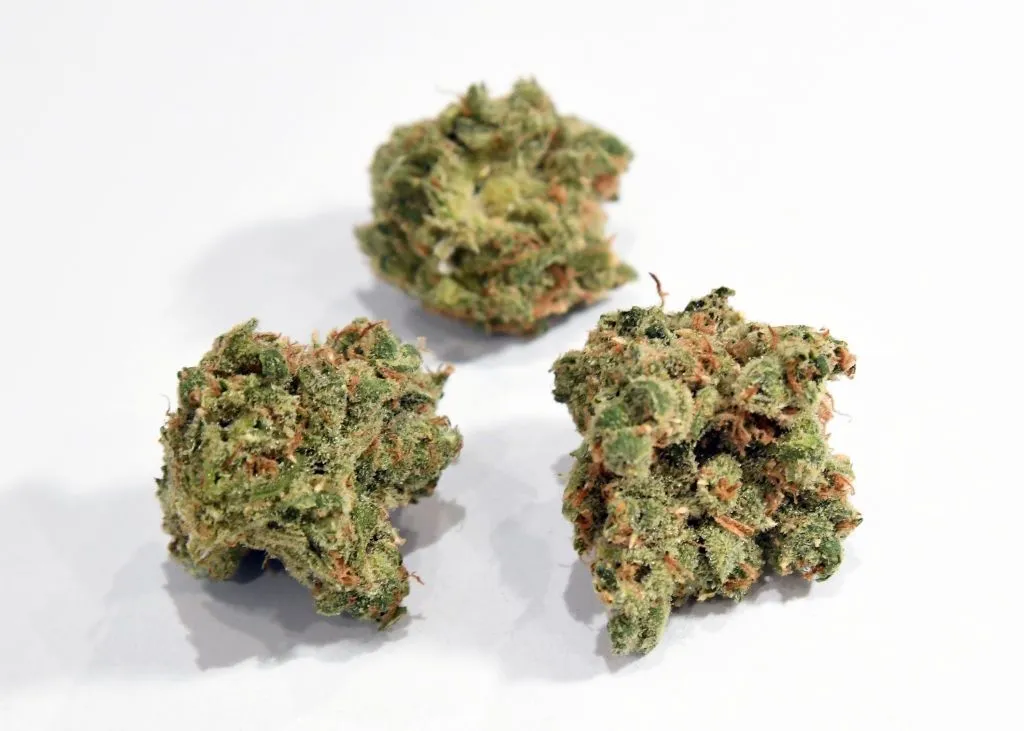 Weed Science: Researchers Map Marijuana DNA to Unlock Cannabis’s Full ...