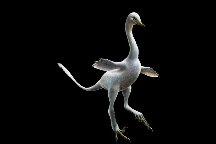 Halszka Fossil: Bizarre, Vicious Duck Dinosaur That Could Run, Fly and ...