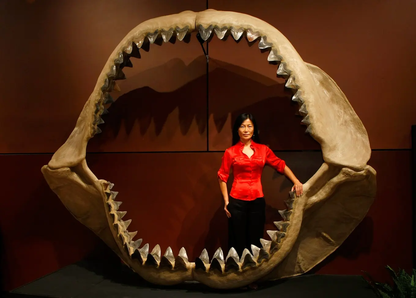 Monster Sharks: Four Fierce Giants That Rival Greenland’s Ancient Beast ...