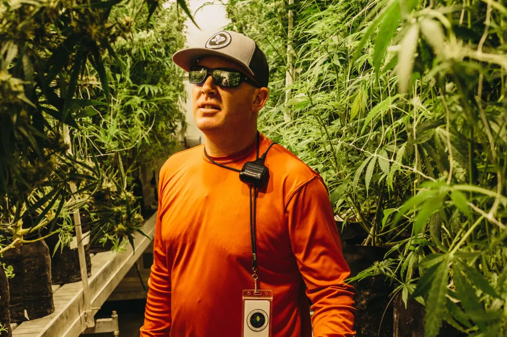 Texas’ First Marijuana Dispensary Spurs Hope of Republicans Jumping ...