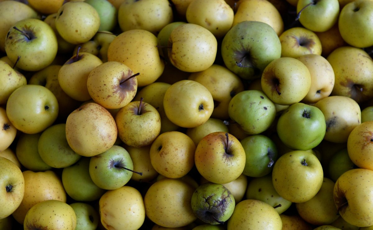 What Causes Fruit to Go Extinct? Expert Explains Why 5 Re... - Newsweek