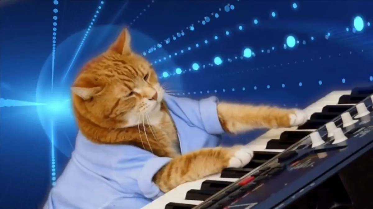 Keyboard Cat, a Beloved Internet Sensation, Has Died at Age 8 - Newsweek