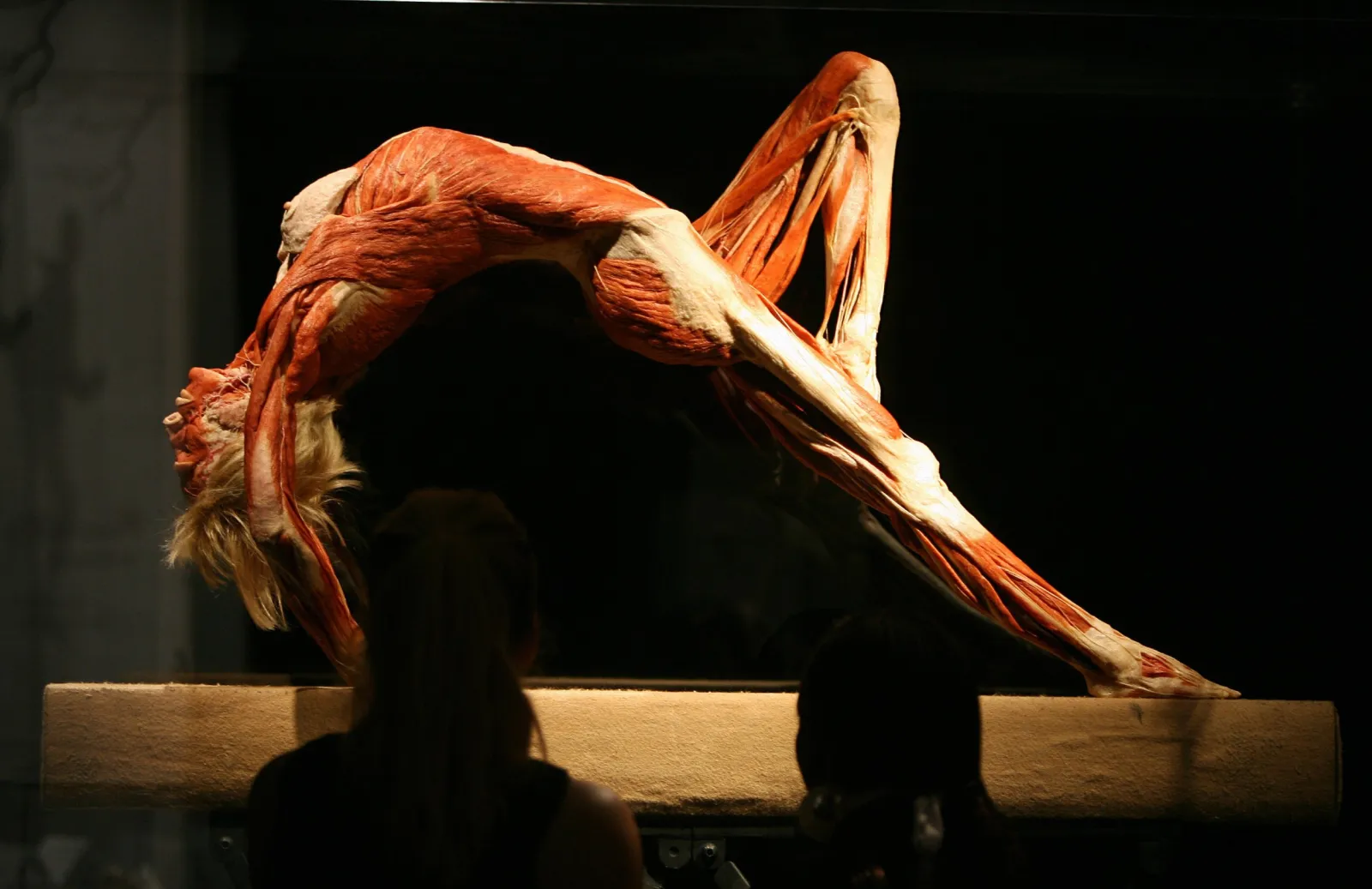 Corpses of Executed Prisoners Used In Real Bodies Exhibition ...