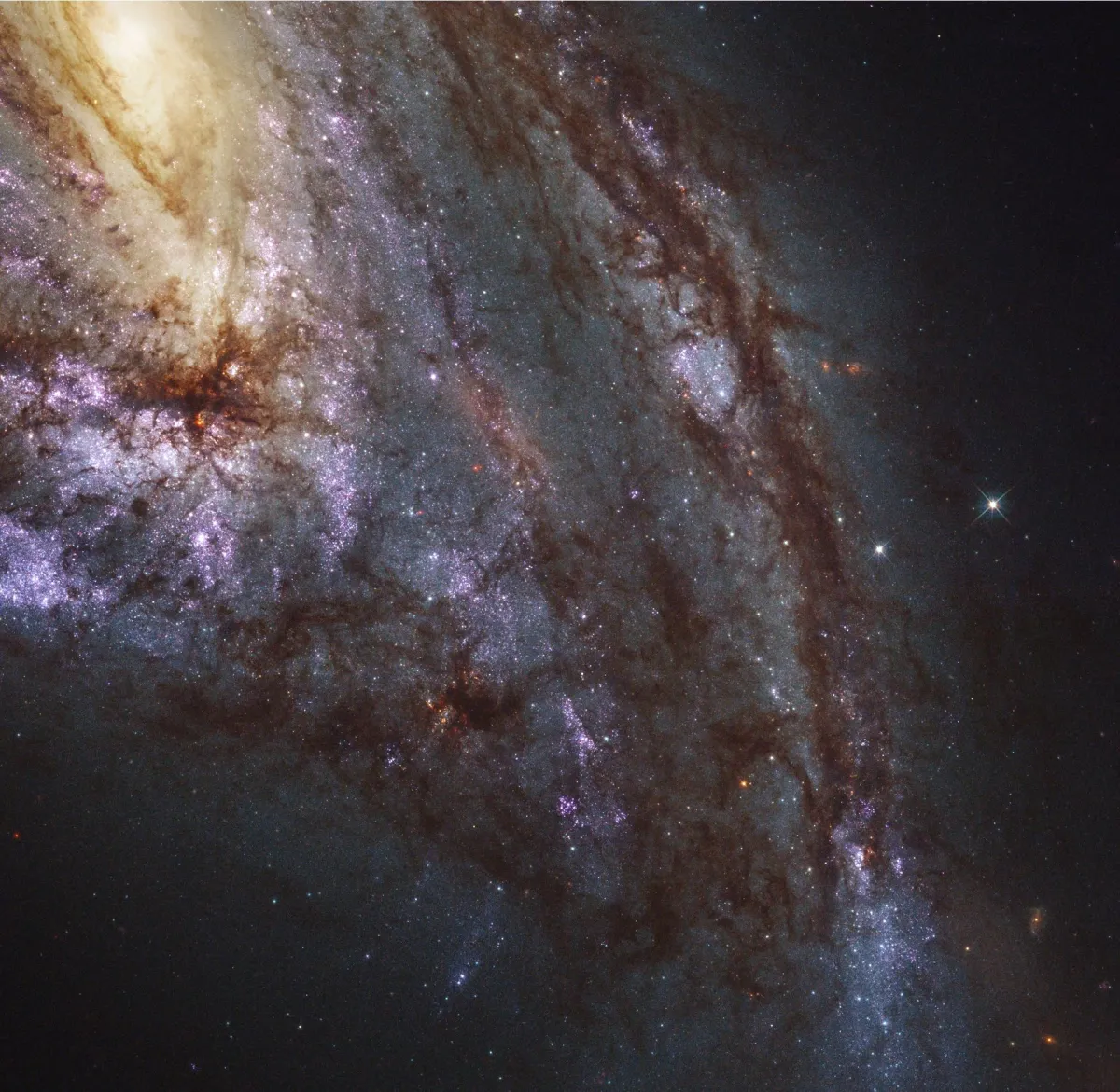 Hubble Space Telescope: Astronomers Release Stunning Images of Nearby ...