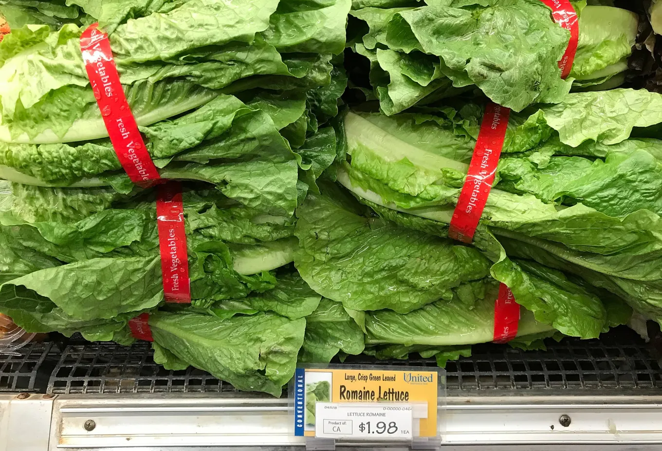 E. coli Deaths Mounting From Romaine Lettuce, CDC Announces; How to ...