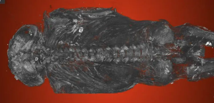 Ancient Egypt: Misidentified Hawk Mummy Is Actually a Human Baby - Newsweek