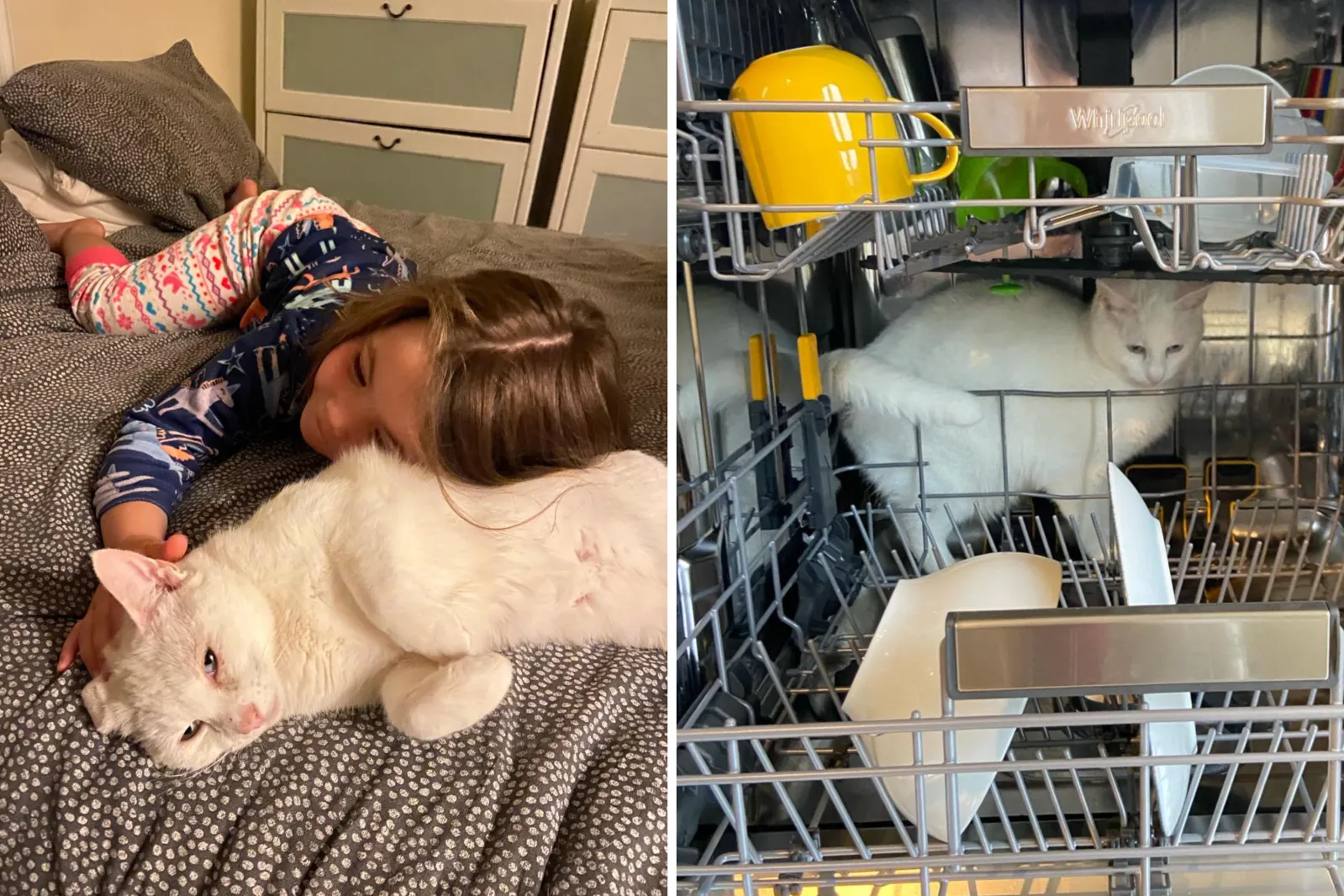 Dad Gets ‘Dreaded Call’ From Nursery, but It’s Not About Daughter ...