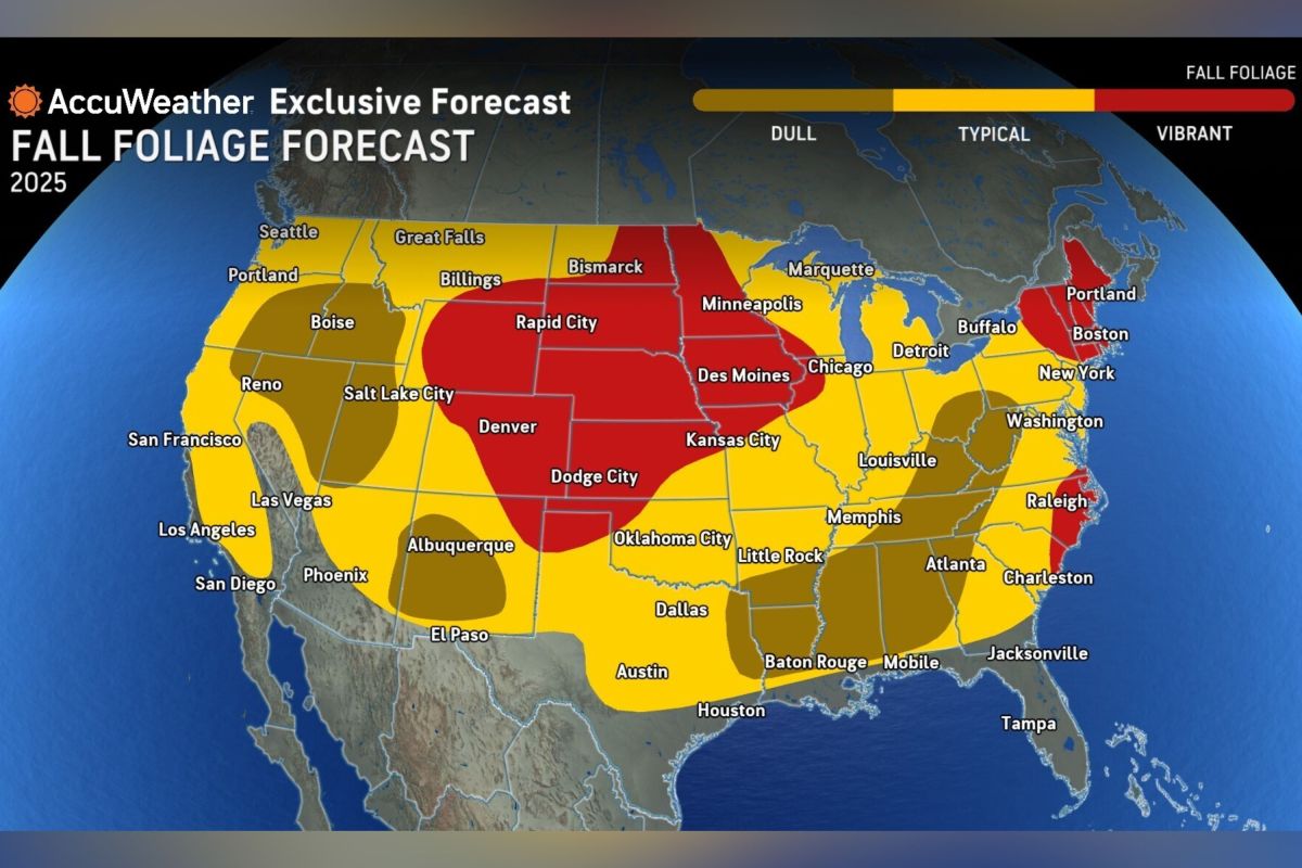 Fall Foliage Map Shows Best States to See Autumn Colors - Newsweek
