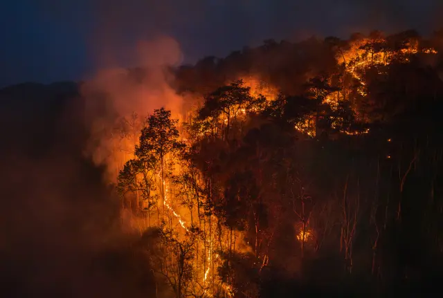 Watch as California ‘Bombarded’ by Lightning Strikes Amid Wildfire ...