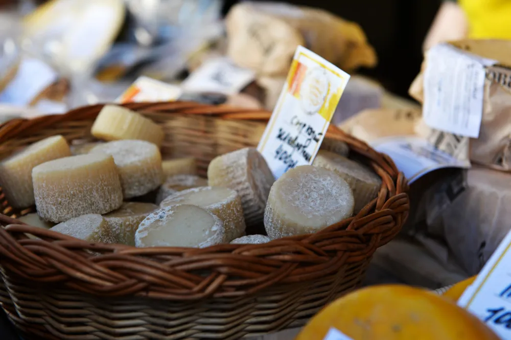 Highest Risk Warning Issued for Cheese Recall in 9 States - Newsweek