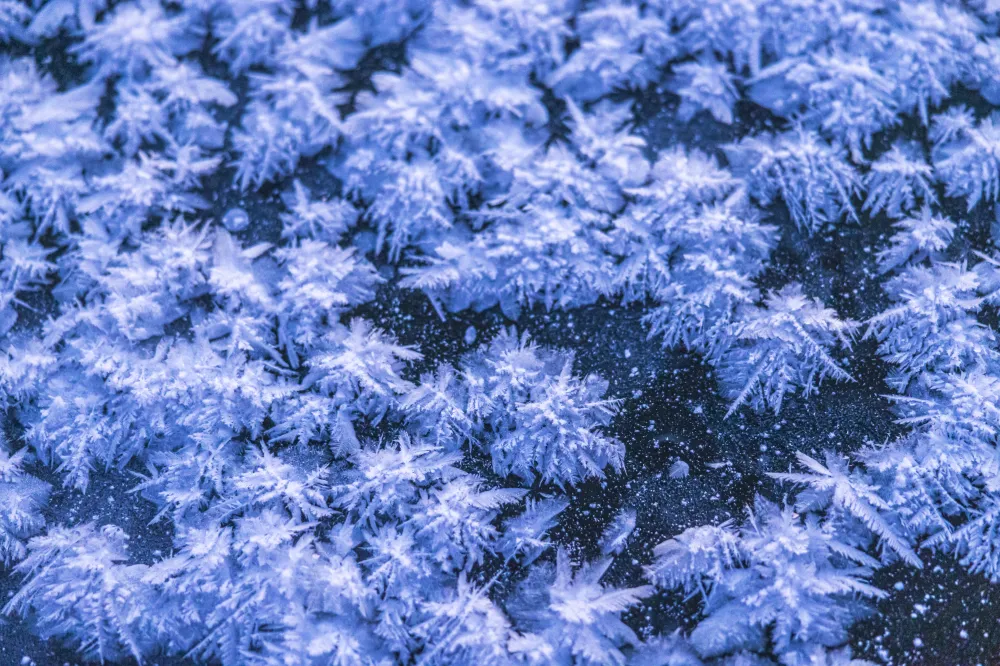 Warning Issued as Five States Face Near-Freezing Temperatures - Newsweek