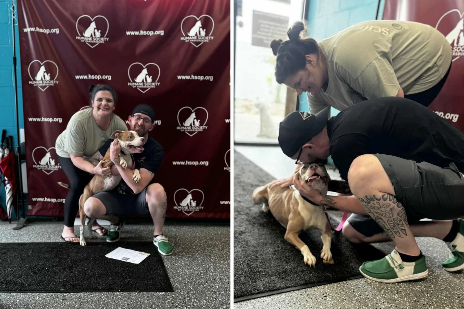 Hearts Melt at Moment Dog Lost for Months Is Reunited With Family ...