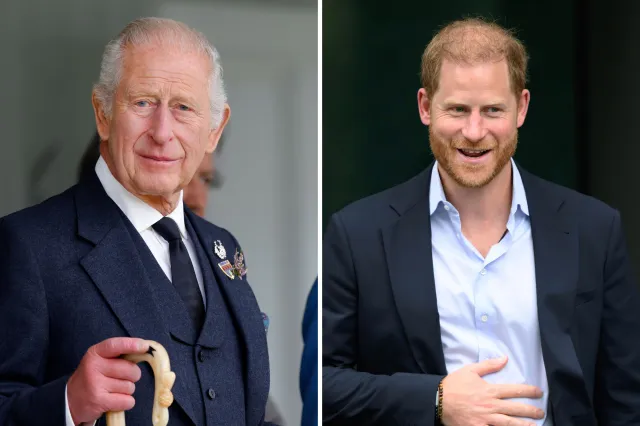 Prince Harry Meets King Charles in Major Hope for Reconciliation - Newsweek