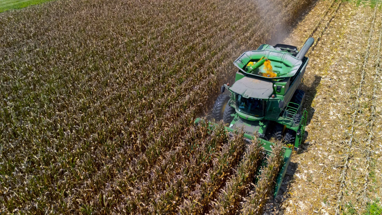 Farmers Are Struggling Under Donald Trump - Newsweek