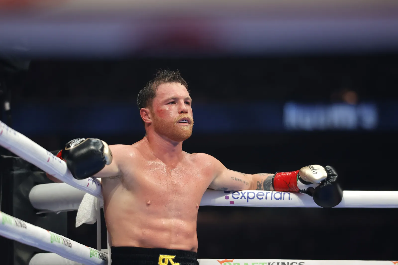 Canelo Alvarez Breaks Silence After Terence Crawford Loss - Newsweek