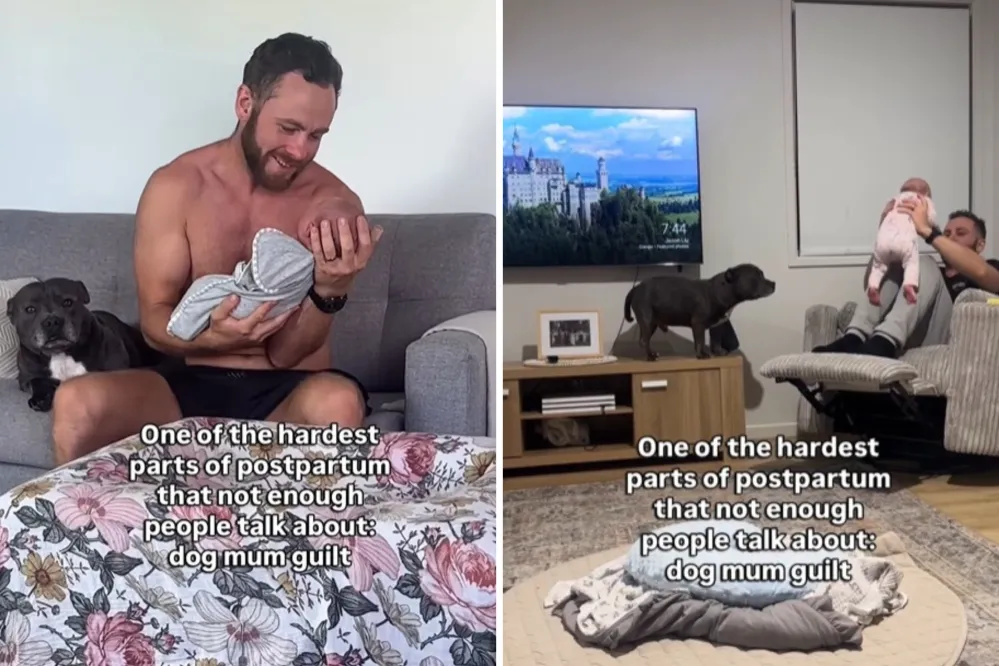 New Mom Looks at Dog, Has Realization Over What Baby’s Arrival Has ...