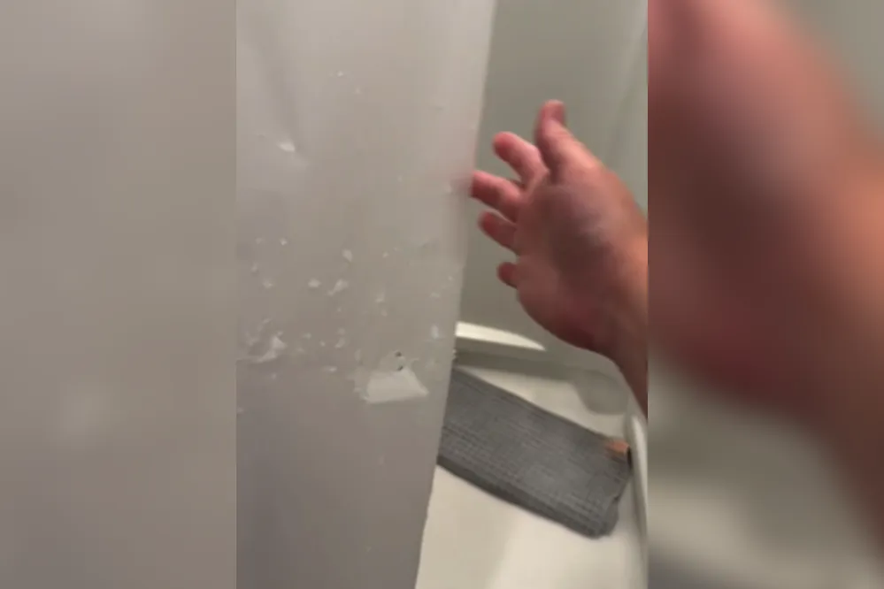 Shower Curtain Found Shredded—Woman Catches Culprit on Camera - Newsweek