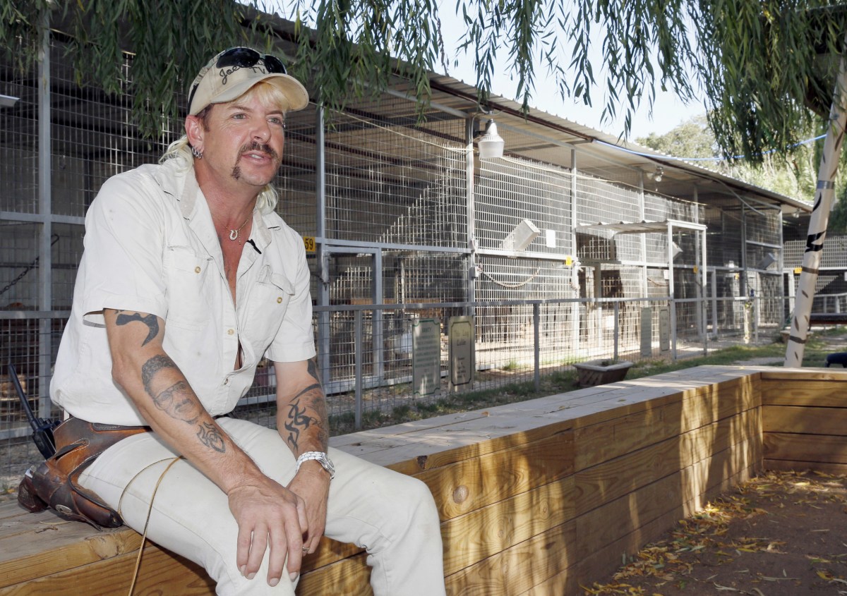 Joe Exotic Responds After Tiger Trainer Ryan Easley Mauled to Death ...
