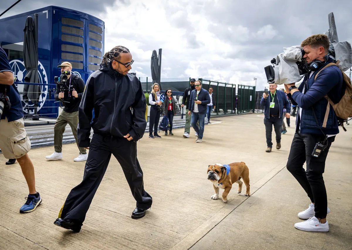 Lewis Hamilton Posts Worrying Health Update About His Bulldog Roscoe ...
