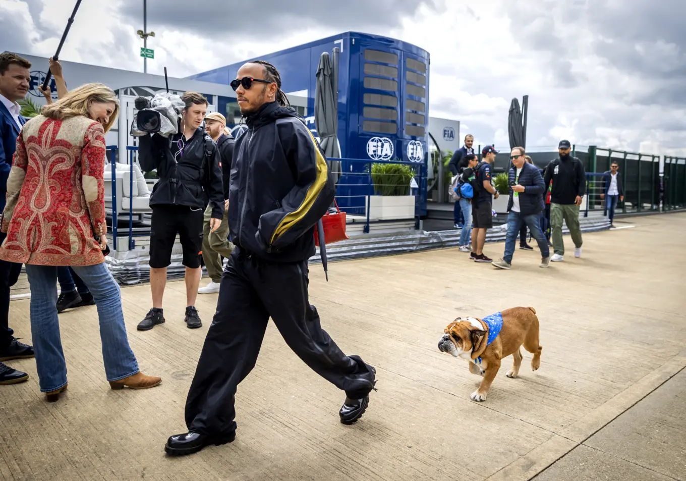 How Lewis Hamilton's Dog Roscoe Shot to Fame With More Than 1M ...