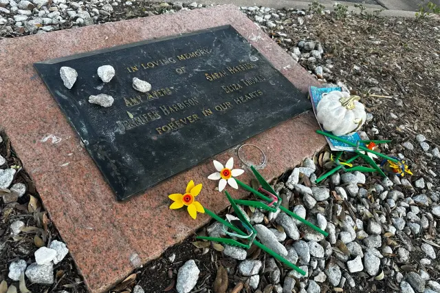 Who Was Robert E. Brashers? What to Know About Yogurt Shop Murders ...