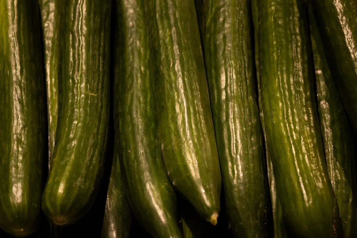 Cucumber recall update as FDA sets highest risk level - Newsweek