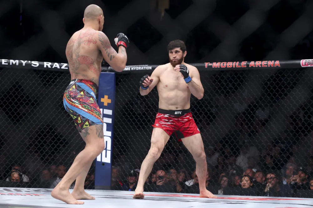 How to Watch UFC 320: Live Stream Ankalaev vs Pereira, Main Event, TV ...
