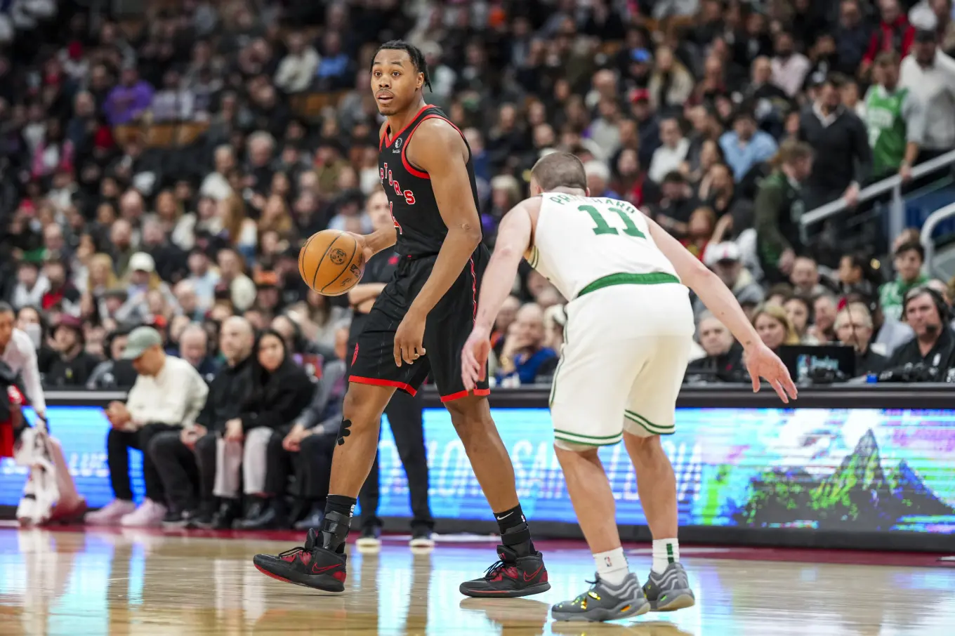 How to Watch Celtics vs Raptors: Live Stream NBA Preseason, TV Channel - Newsweek