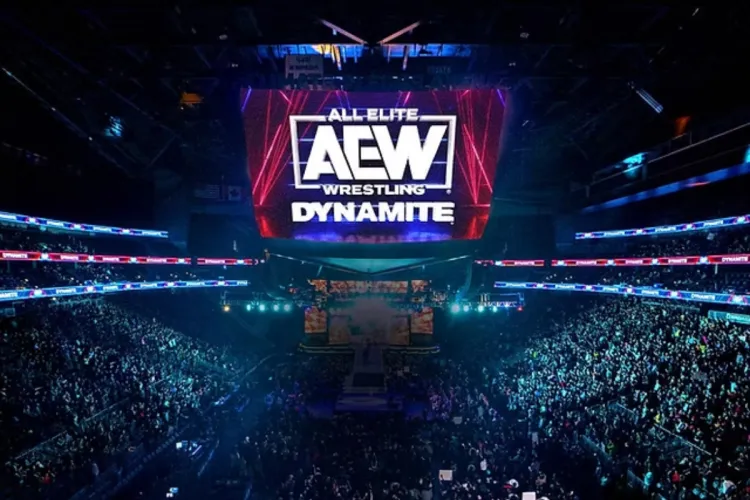 AEW Star's Injury Recovery Hits Major Setback - Newsweek