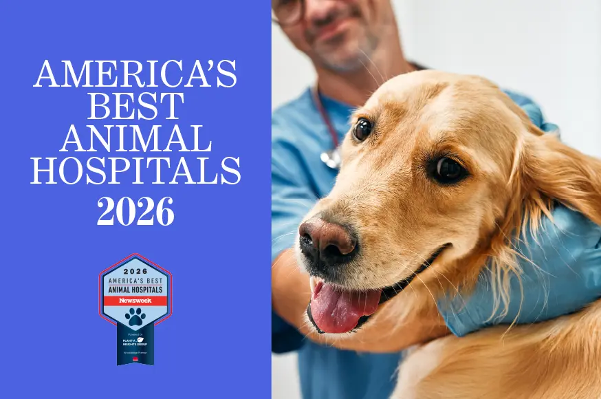 America’s Best Animal Hospitals 2026