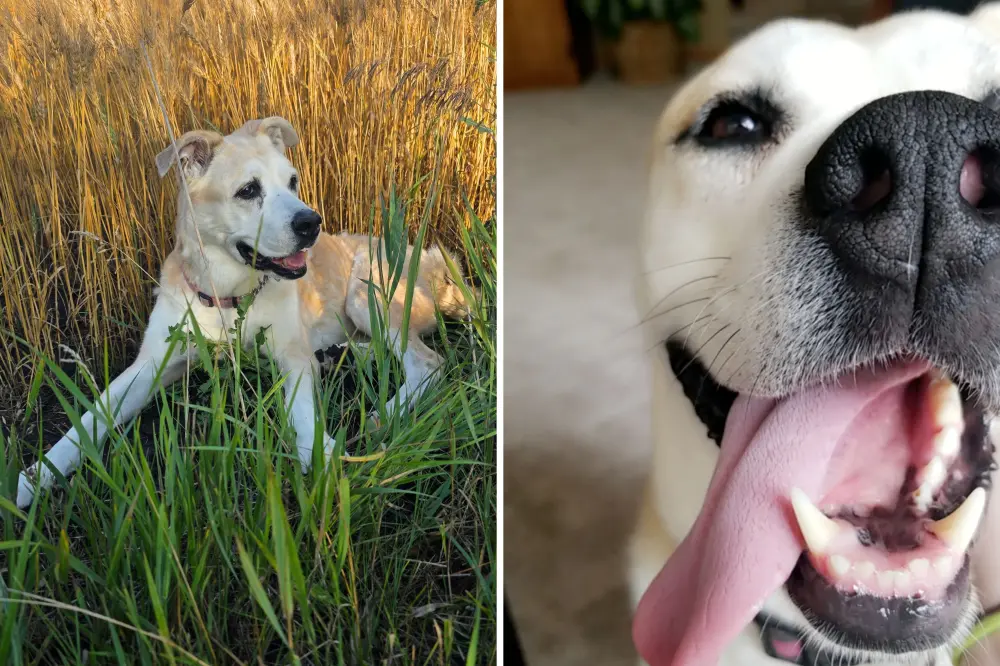 10 Rapture Predictions That Never Came to Pass - Newsweek